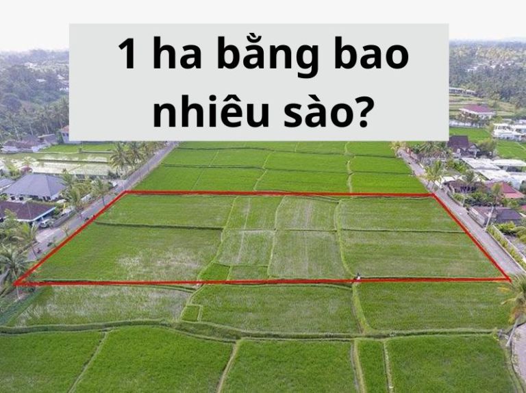 Hecta là gì? 1 ha bằng bao nhiêu m2, km2, Sào, Mẫu, Công