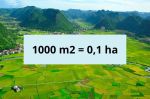 Hecta là gì? 1 ha bằng bao nhiêu m2, km2, Sào, Mẫu, Công