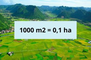Hecta là gì? 1 ha bằng bao nhiêu m2, km2, Sào, Mẫu, Công