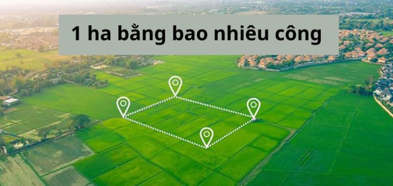 Hecta là gì? 1 ha bằng bao nhiêu m2, km2, Sào, Mẫu, Công