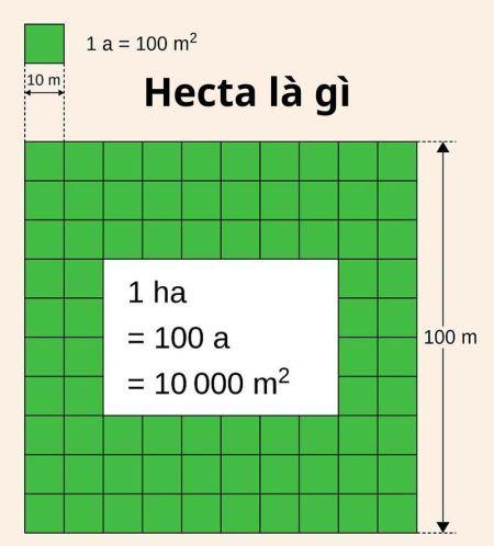 Hecta là gì? 1 ha bằng bao nhiêu m2, km2, Sào, Mẫu, Công